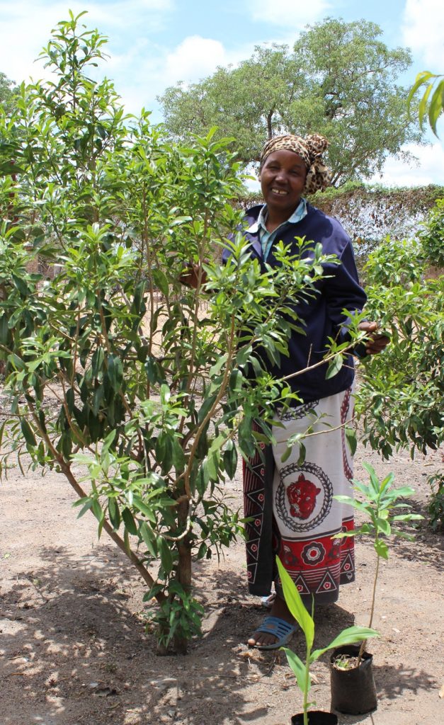 Kukula Traditional Healers reaping rewards of an inclusive community ...