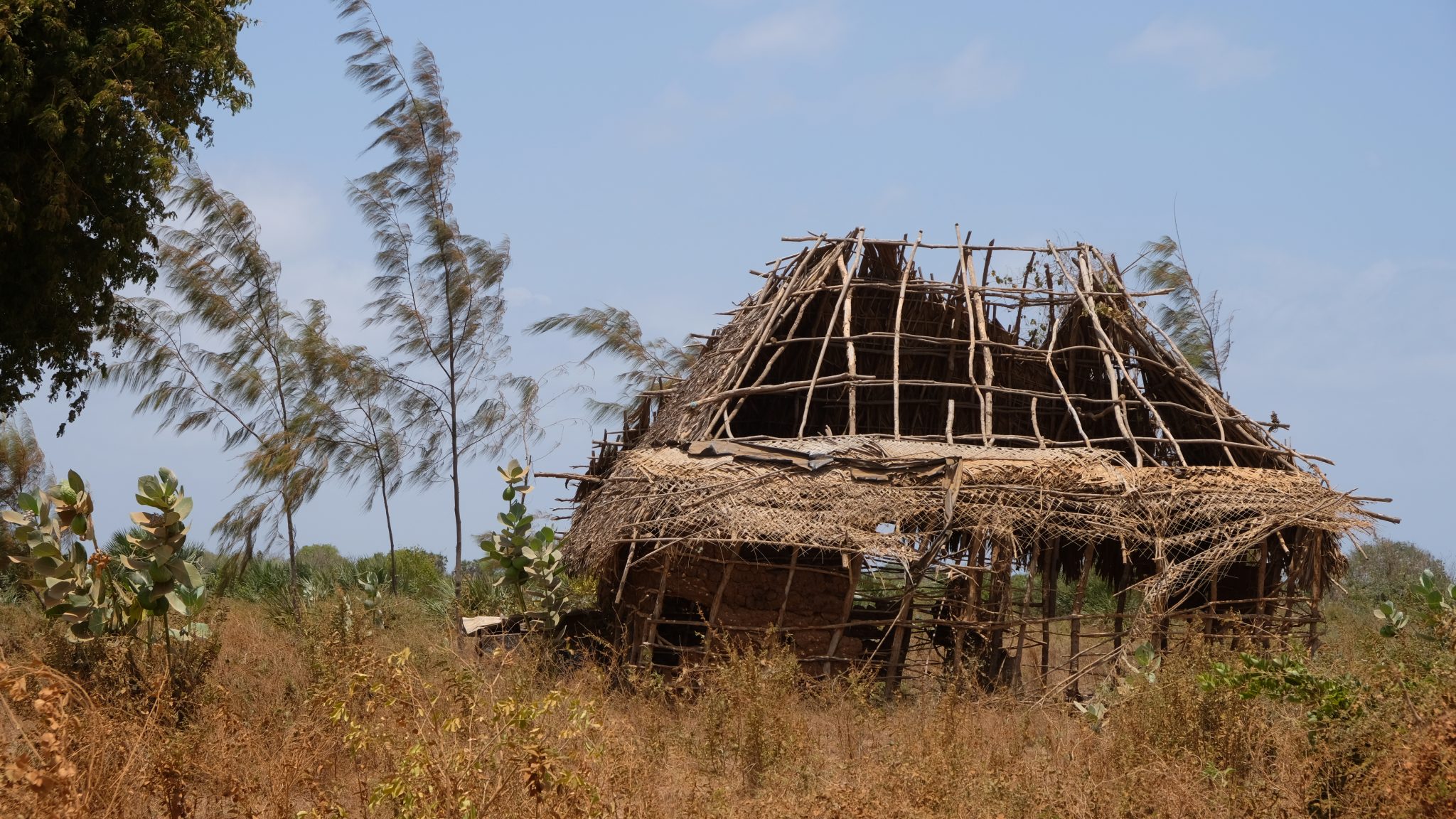 The Curse of Compulsory Land Acquisition in Lamu, Kenya