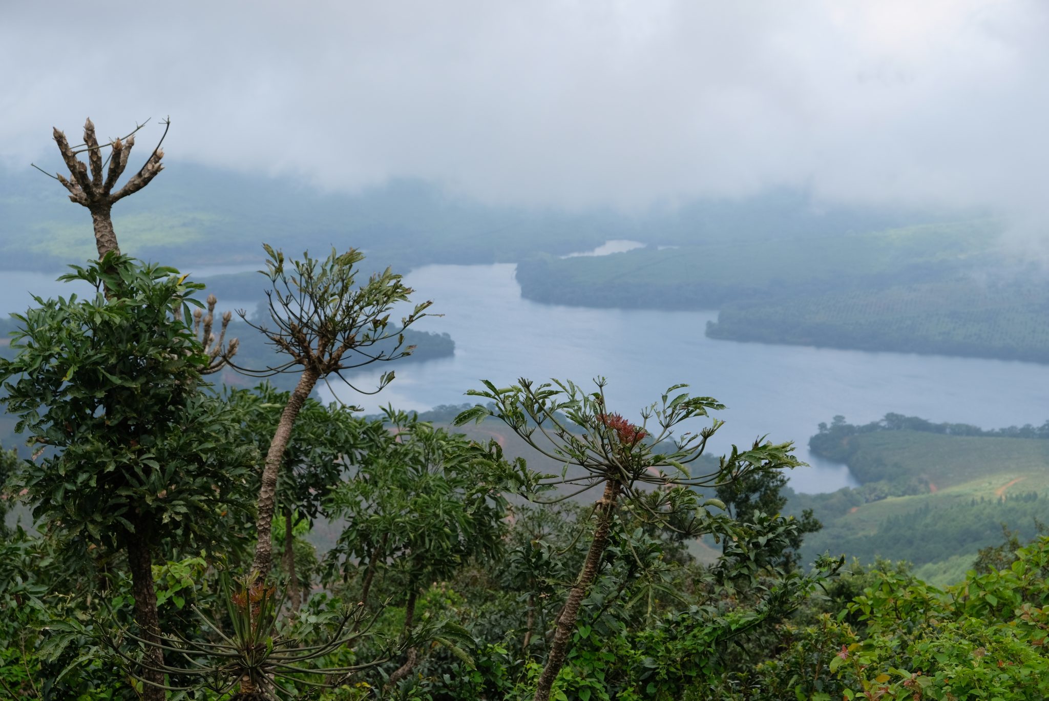The BCP of the VhaVenda villages of Thohoyandou continues its joyful ...