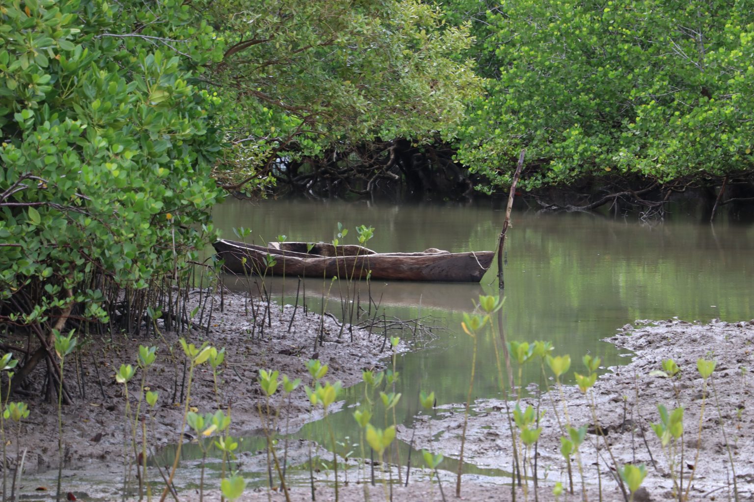 Kenya's Climate Change Bill: Paving the Way for Sustainable Development ...