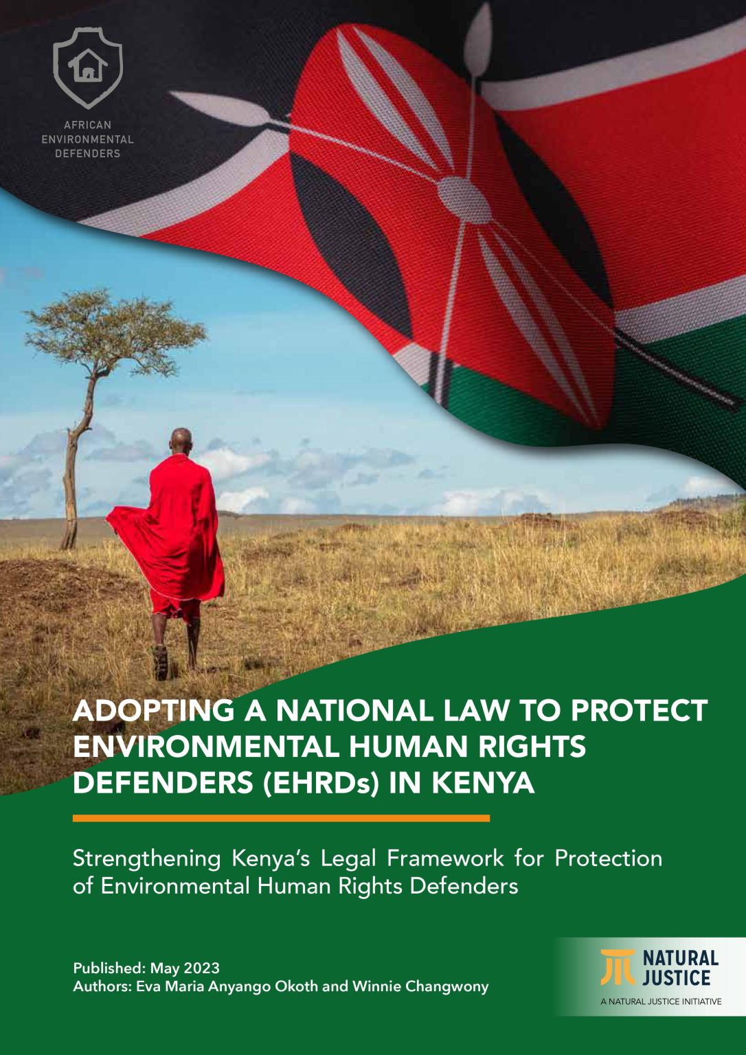 Adopting a National Law to Protect Environmental and Human Rights ...
