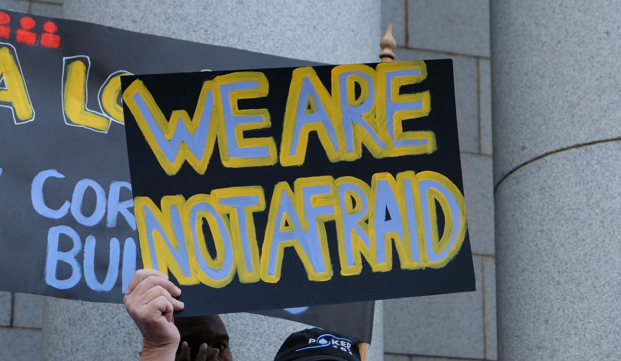 COP28: NGOs call for increased protection and recognition of land ...